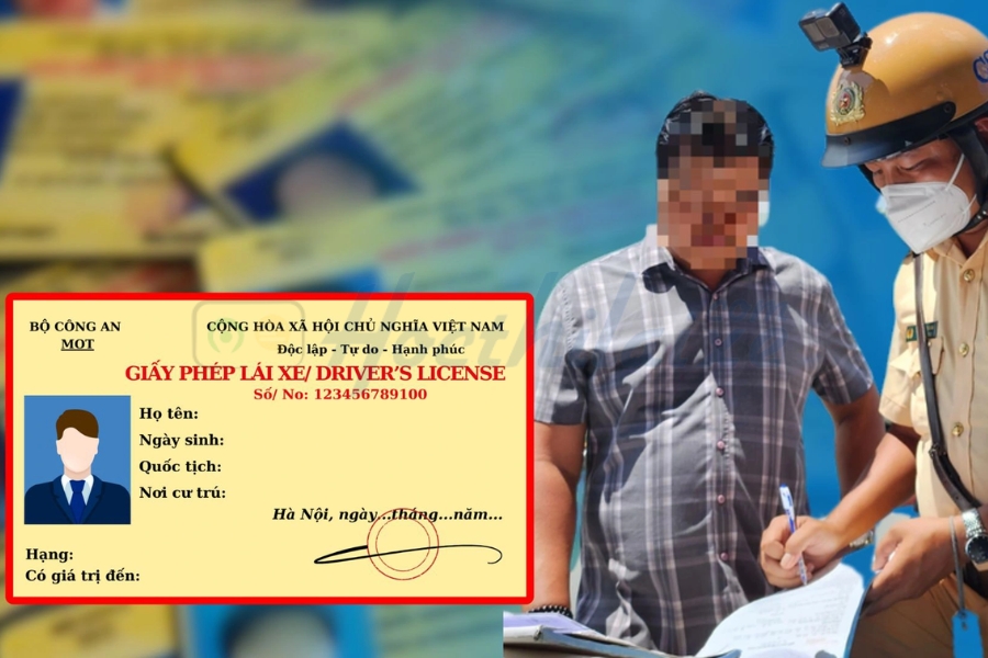 Thông báo mới nhất - lịch thi bằng lái A, A1 năm 2025